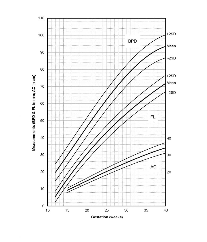 Fetal biometry - HKOG-INFO