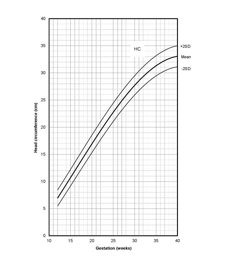 Fetal biometry - HKOG-INFO