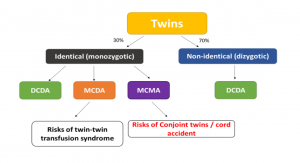 Twins - Classification and diagnosis - HKOG-INFO