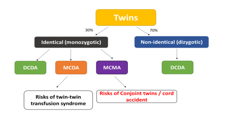 Twins - Classification and diagnosis - HKOG-INFO
